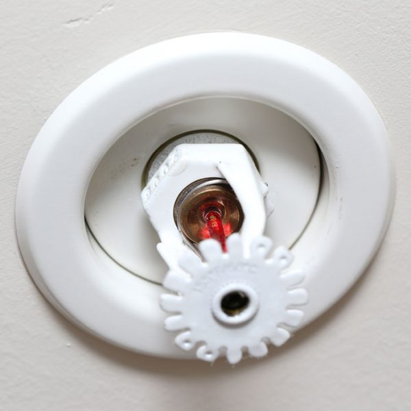 Shutgun | The emergency fire sprinkler shut off tool
