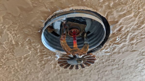 When to Call for Fire Sprinkler Repair – Common Signs of Damage - Shutgun